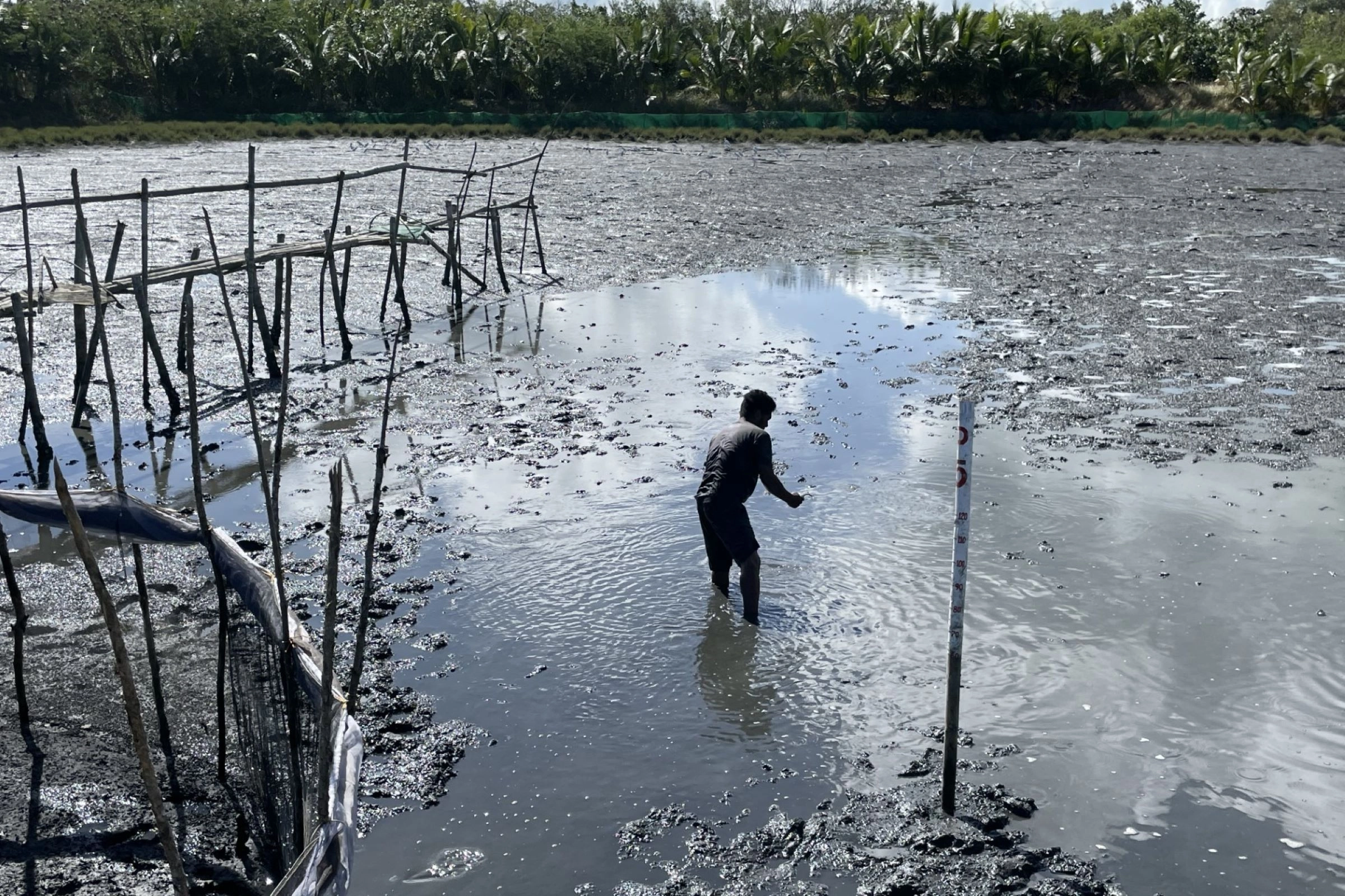 Blue Alliance: Strengthening coastal resilience and marine conservation ...