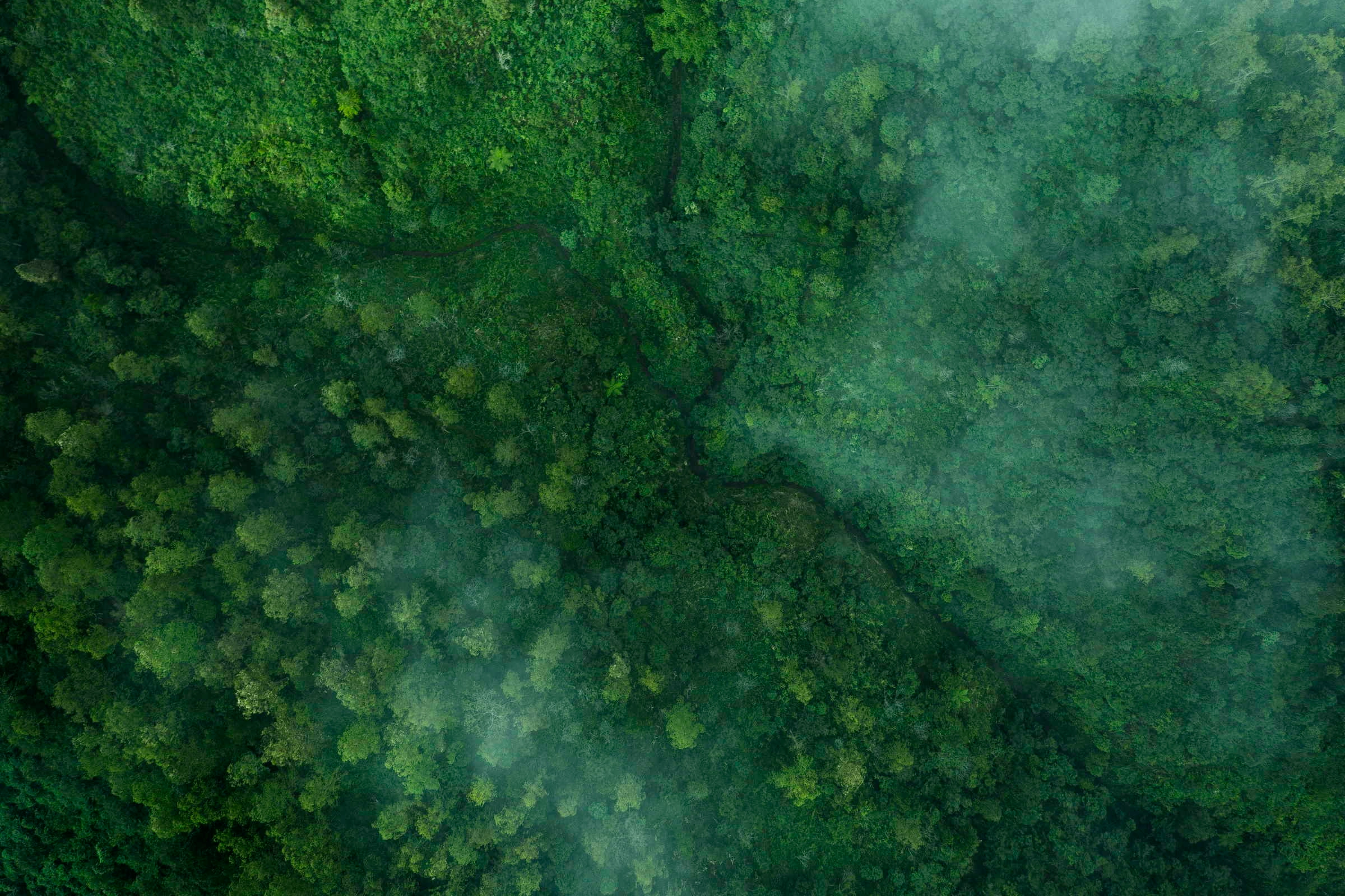 Modelling biodiversity and ecosystem service loss to advance resilience ...