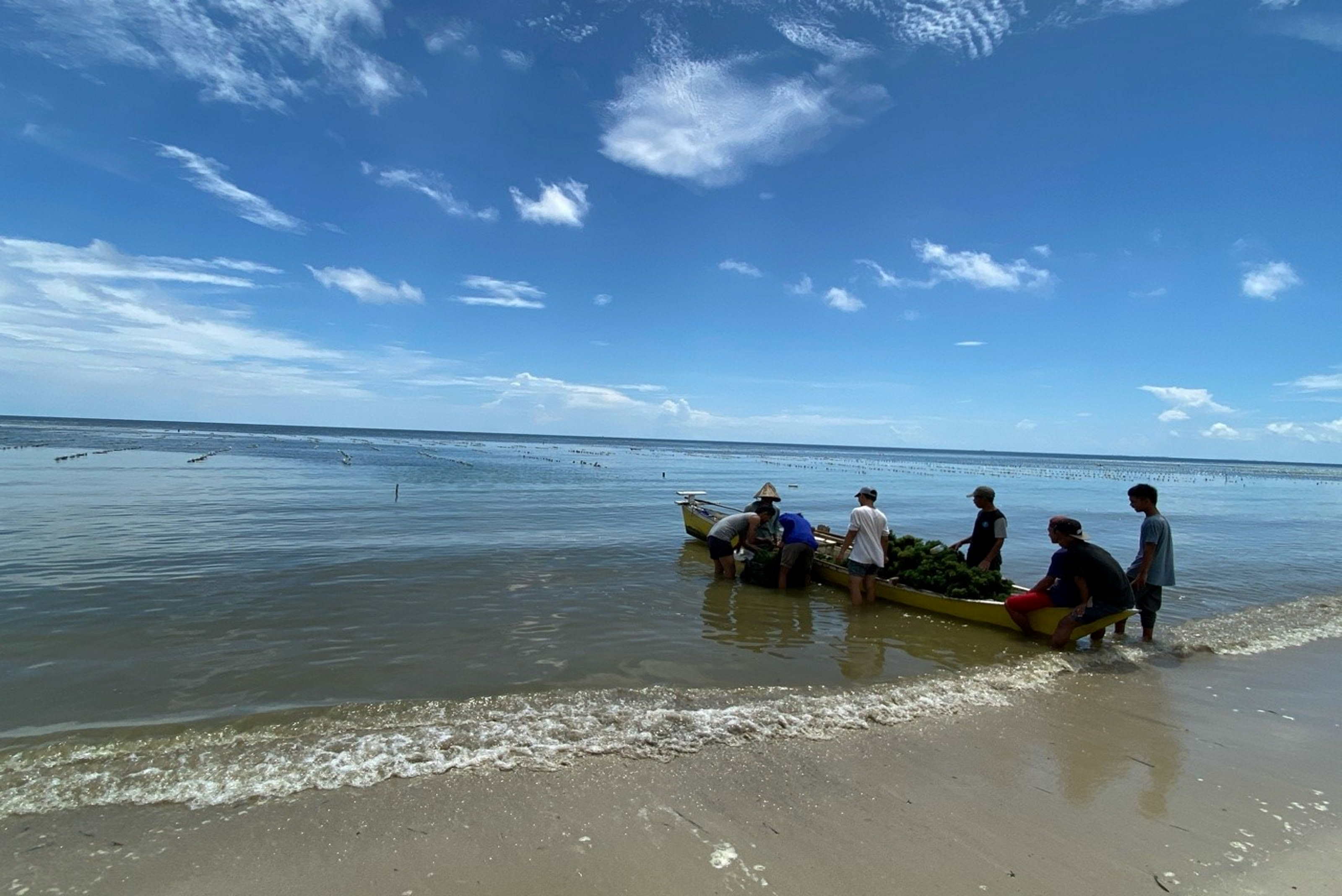 ORRAA: Attracting investment in resilient coasts | Swiss Re